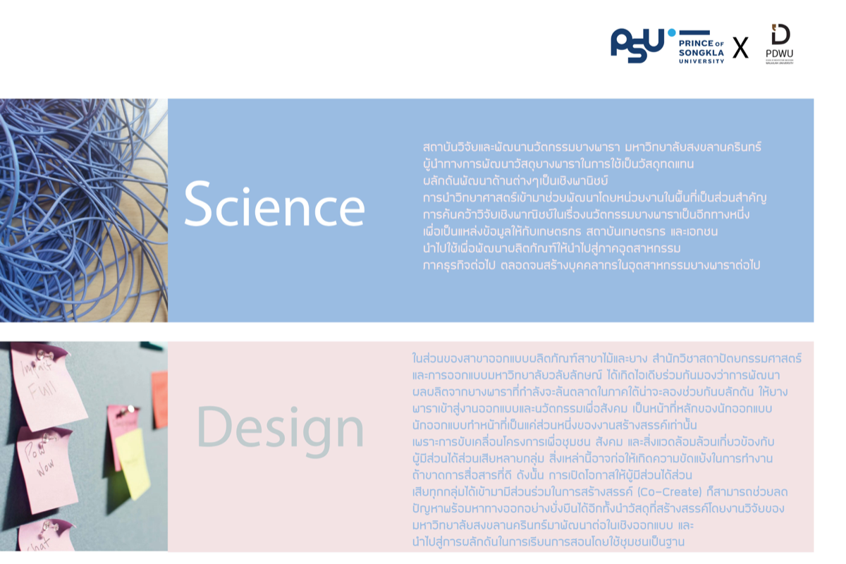 (Psu x Wu ) | BKKDW2020